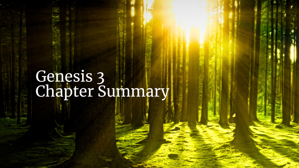 Genesis 3 Chapter Summary: Paradise Lost – Wisdom Begun