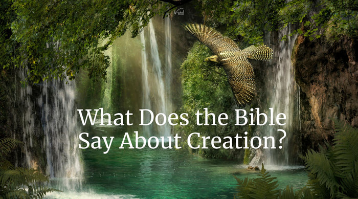What Does the Bible Say About Creation? – Wisdom Begun